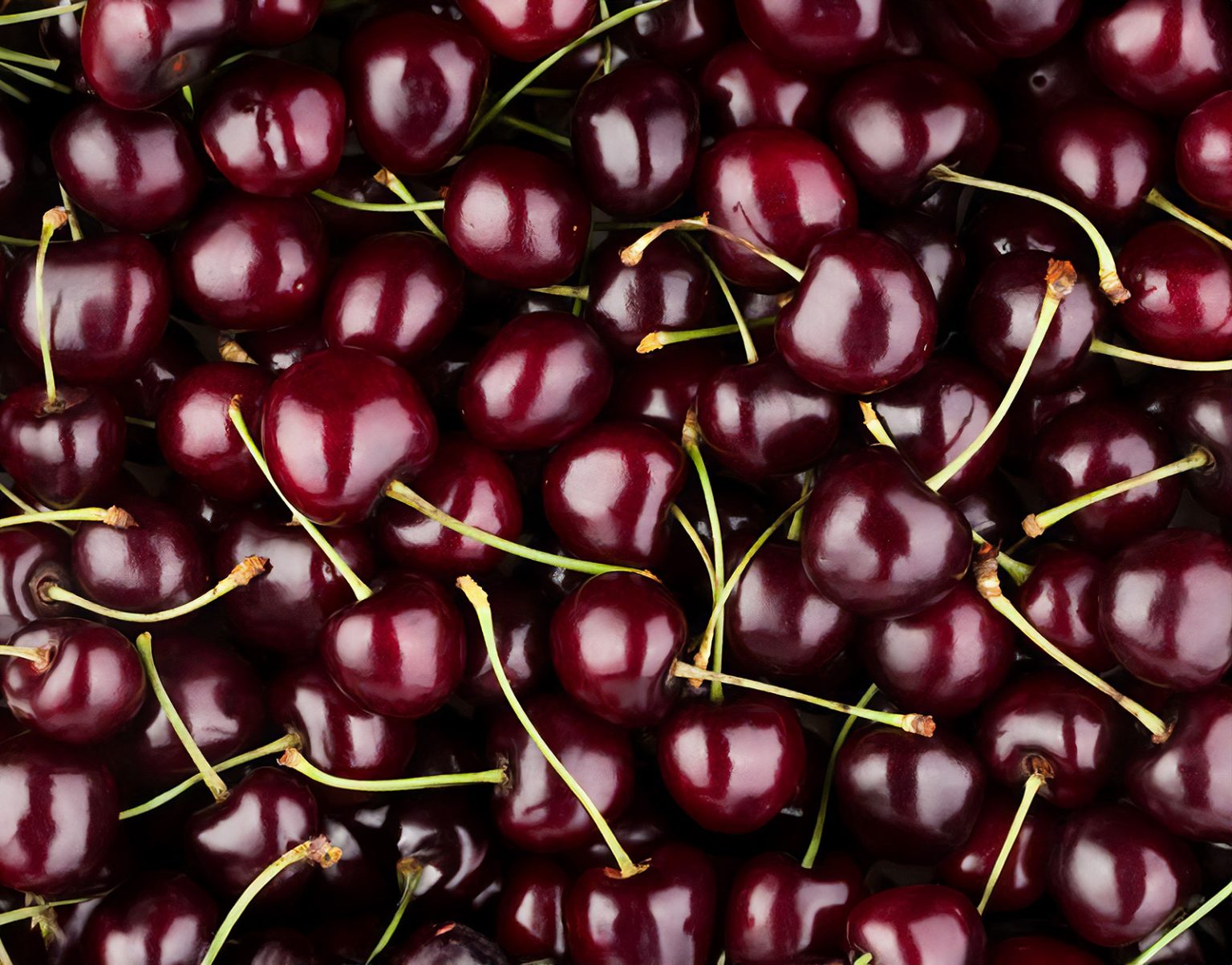 El ‘top 10’ de los principales exportadores de cereza esta temporada ...